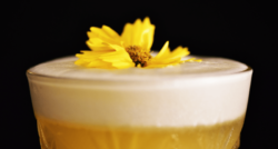 havtorn gin fizz opskrift - cocktails med gin - Get Bartender : Get ...